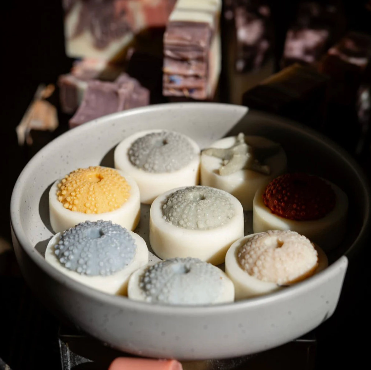 Shell Soap – Salty Living
